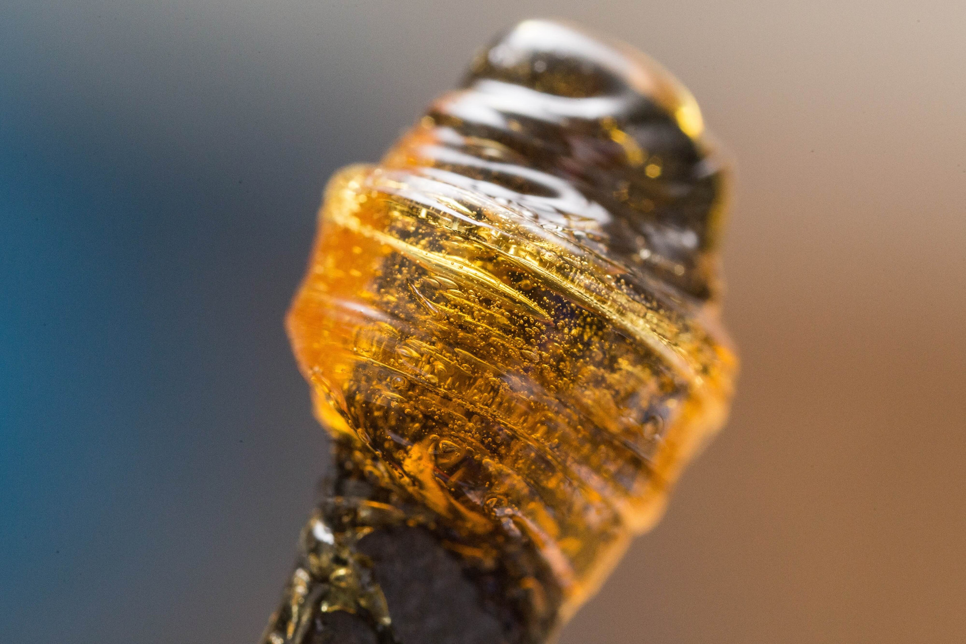 A Complete Guide to the Different Types of Wax Dabs (With Pictures)