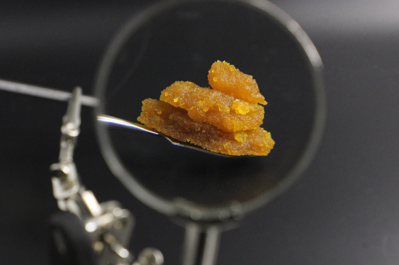 A Complete Guide to the Different Types of Wax Dabs (With Pictures)