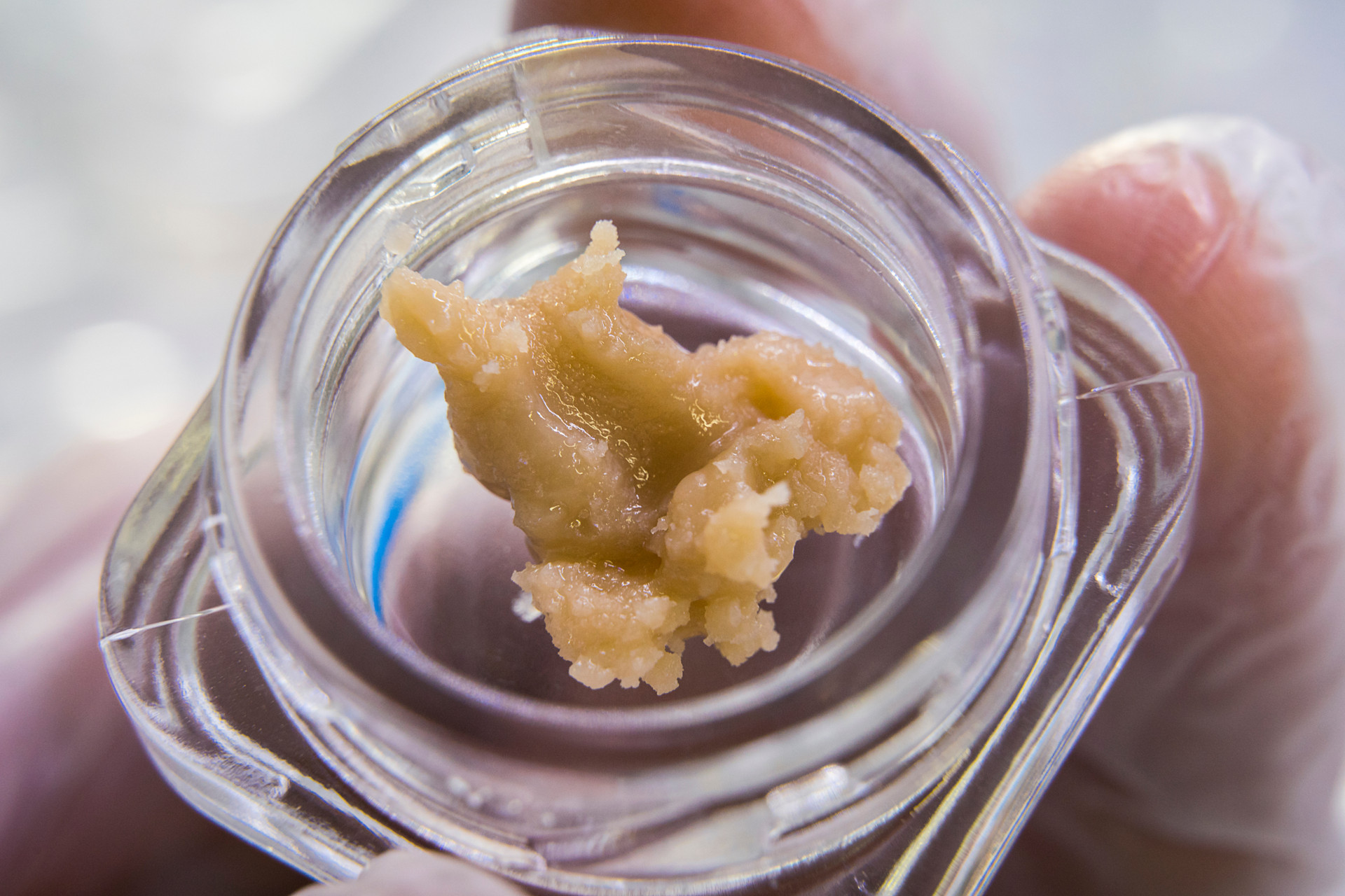 What is Live Rosin? A Guide to the King of Concentrates
